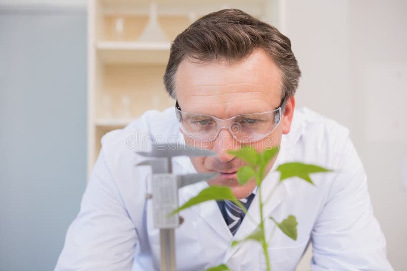Scientist measuring plants stock photo. Image of measuring - 53055060