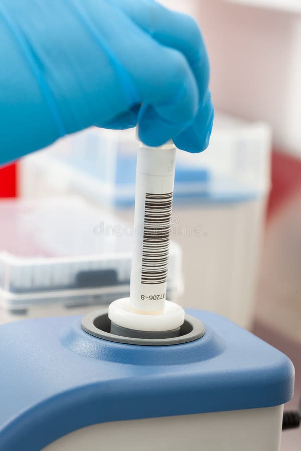 Scientist Mixes a Biological Sample for Analysis Using a Lab Vortex ...