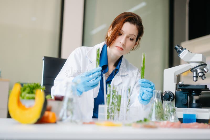 Scientist in a Modern Lab Analyzing Food Samples with Advanced ...