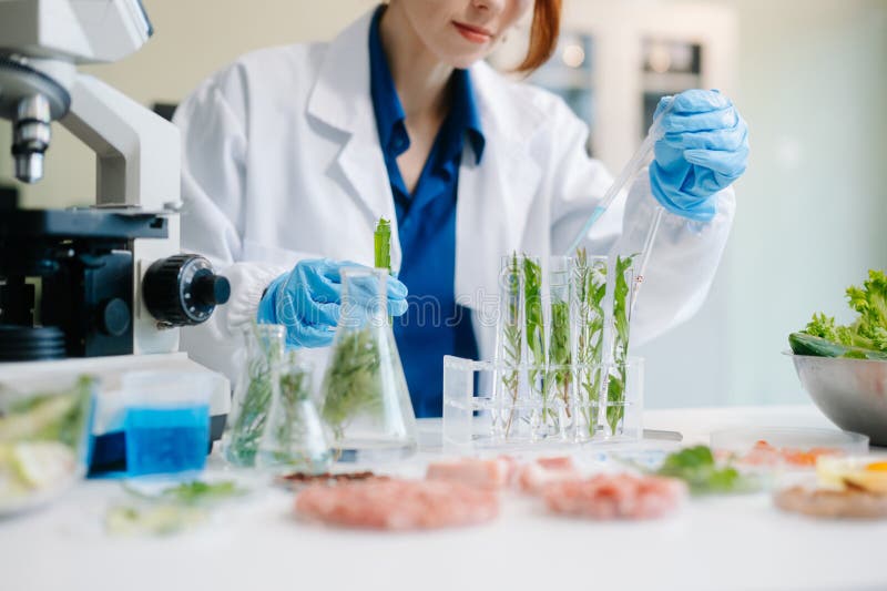 Scientist in a Modern Lab Analyzing Food Samples with Advanced ...
