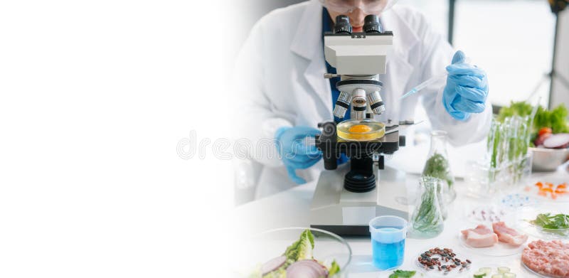 Scientist in a Modern Lab Analyzing Food Samples with Advanced ...