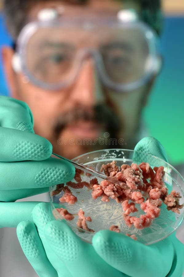Scientist Performing Test on Meat Stock Photo - Image of transparent ...