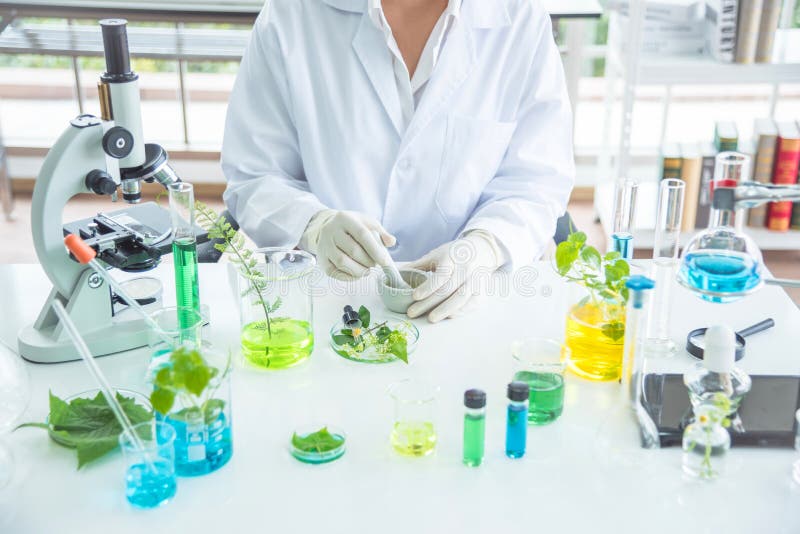Scientist Make Herbal Medicine from Herb in the Laboratory Stock Image ...