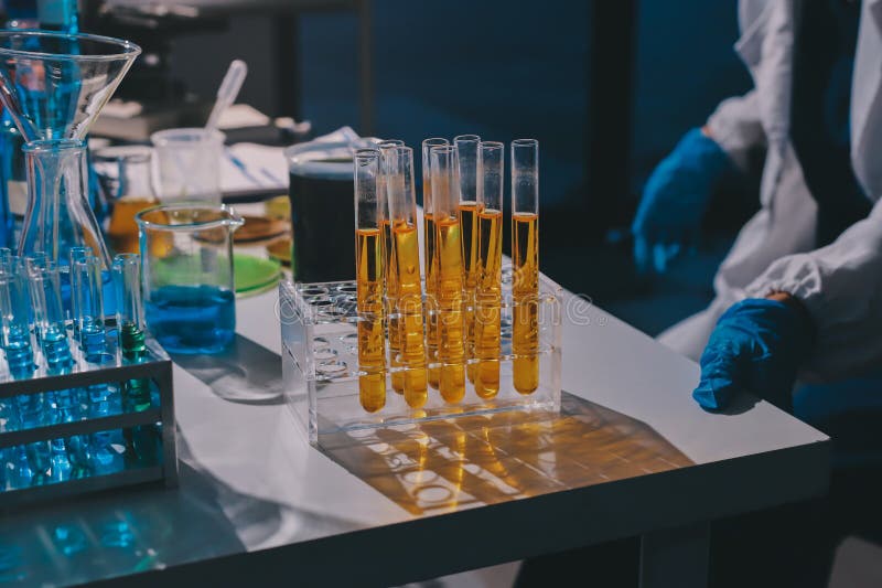 Scientist Pipetting Medical Samples into Microplate in Laboratory Stock ...