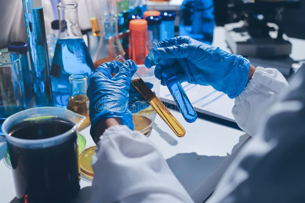 Scientist Pipetting Medical Samples into Microplate in Laboratory Stock ...