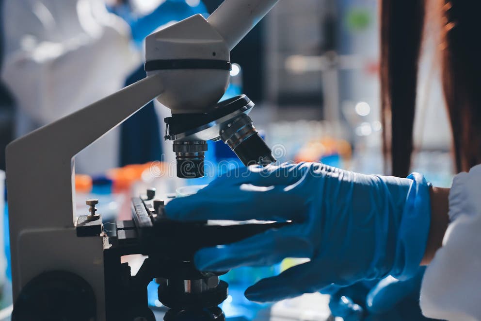Scientist Pipetting Medical Samples into Microplate in Laboratory Stock ...