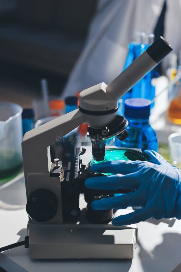 Scientist Pipetting Medical Samples into Microplate in Laboratory Stock ...