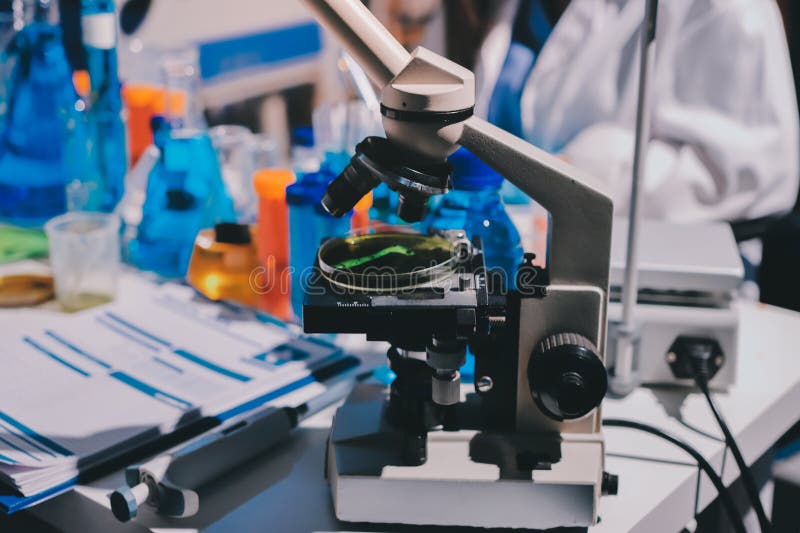 Scientist Pipetting Medical Samples into Microplate in Laboratory Stock ...