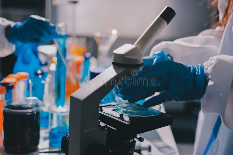 Scientist Pipetting Medical Samples into Microplate in Laboratory Stock ...