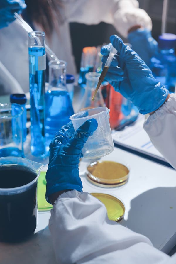 Scientist Pipetting Medical Samples into Microplate in Laboratory Stock ...
