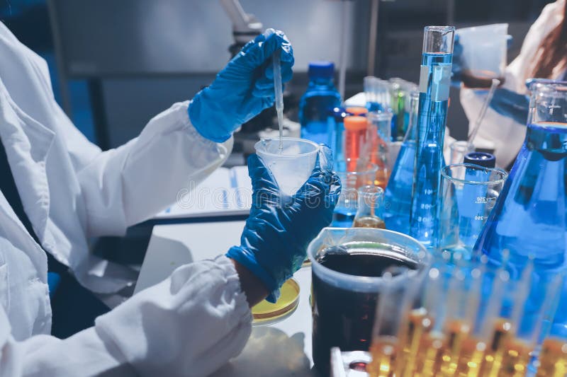 Scientist Pipetting Medical Samples into Microplate in Laboratory Stock ...