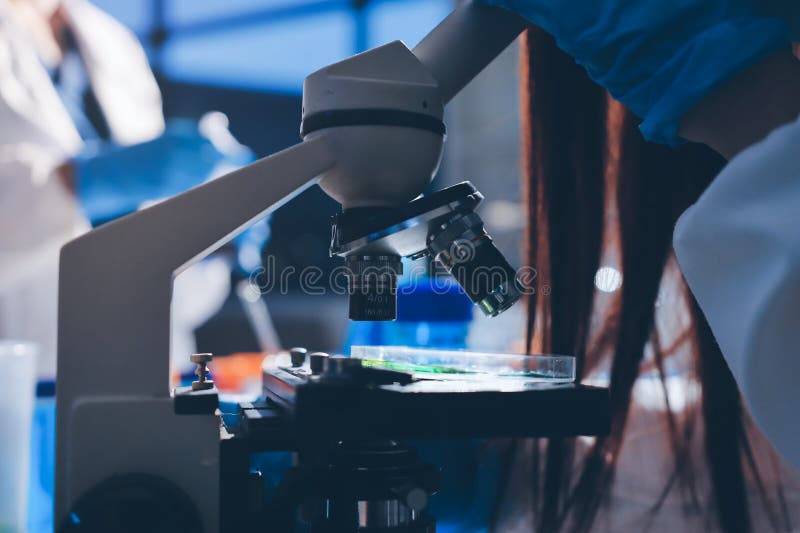Scientist Pipetting Medical Samples into Microplate in Laboratory Stock ...