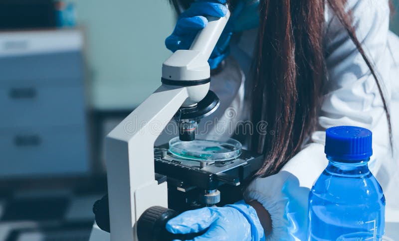 Scientist Pipetting Medical Samples into Microplate in Laboratory Stock ...