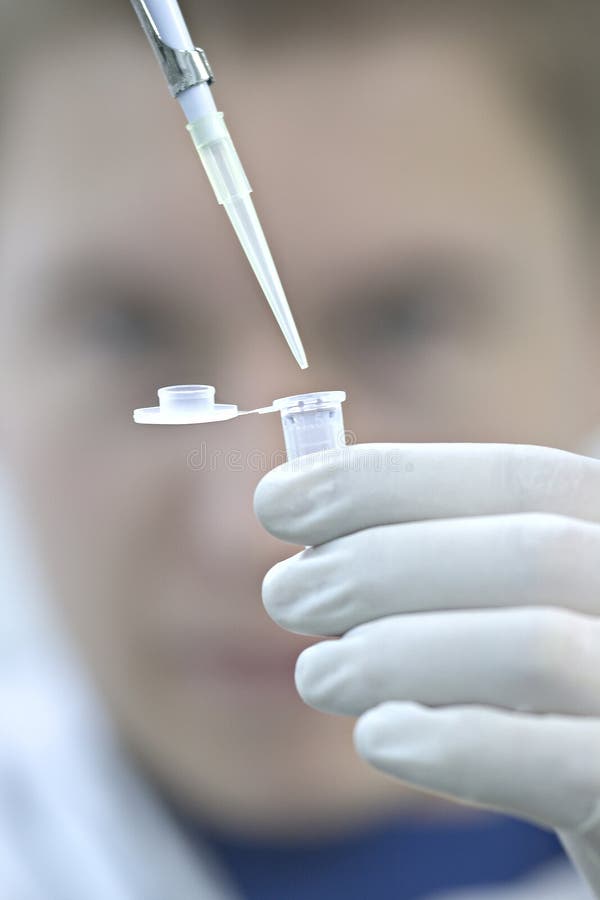 Scientist Pipetting in a Sterile Plastic Vial Stock Photo - Image of ...