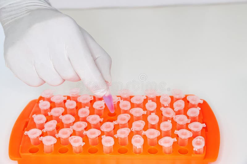 Scientist Placing Test Tube in Tray Stock Image - Image of copyspace ...