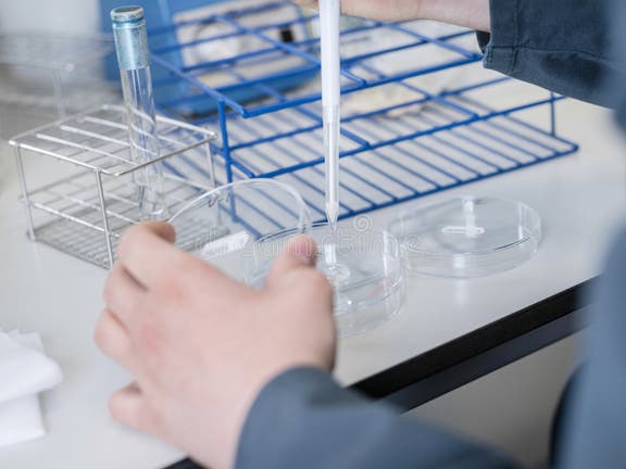 Microbiological Sample Prep Stock Photo - Image of biology, preparing ...