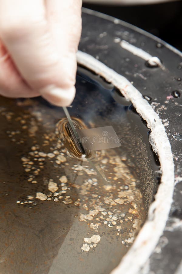 Scientist Preparing a Paraffin Embedded Tissue for Pathology Analysis ...
