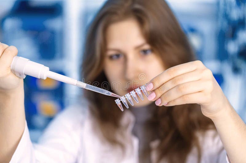 Scientist Preparing Samples Stock Photo - Image of focus, scientist ...
