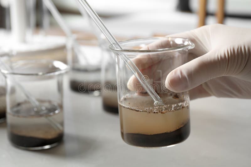 Scientist Preparing Soil Extract at Table. Laboratory Analysis Stock ...