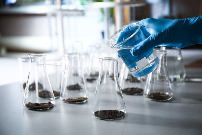 Scientist Preparing Soil Extract at Table. Laboratory Analysis Stock ...