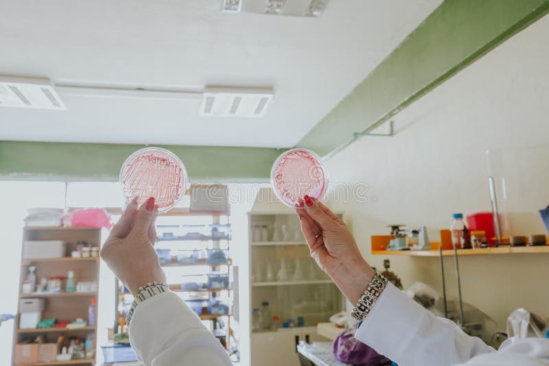 Scientist Preparing Solutions and Analyzing Different Viruses and ...