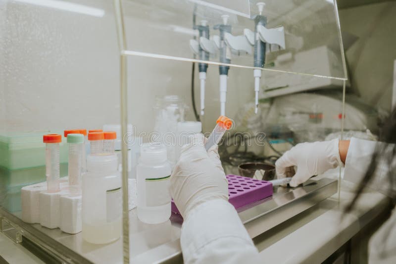 Scientist Preparing Solutions and Analyzing the Results of Chemical ...