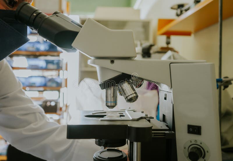 Preparing Chemical, Medical Laboratory Equipments on the White Table ...