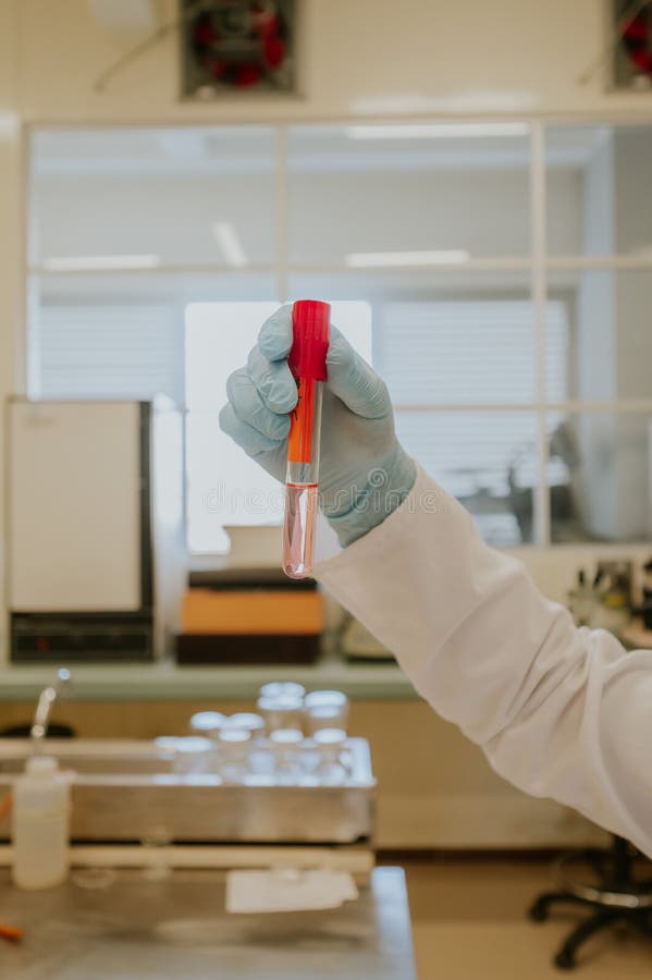 Scientist Preparing Solutions and Analyzing the Results of Chemical ...