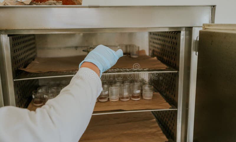 Scientist Preparing Solutions and Analyzing the Results of Chemical ...