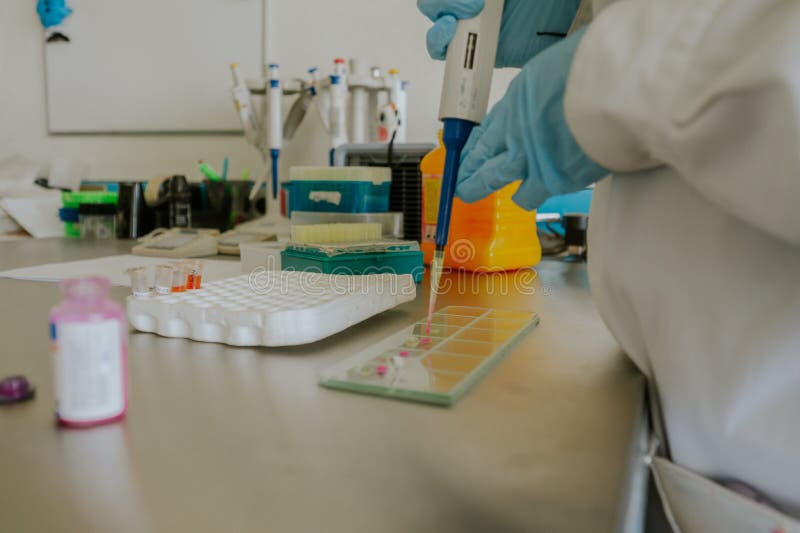 Preparing Chemical, Medical Laboratory Equipments on the White Table ...