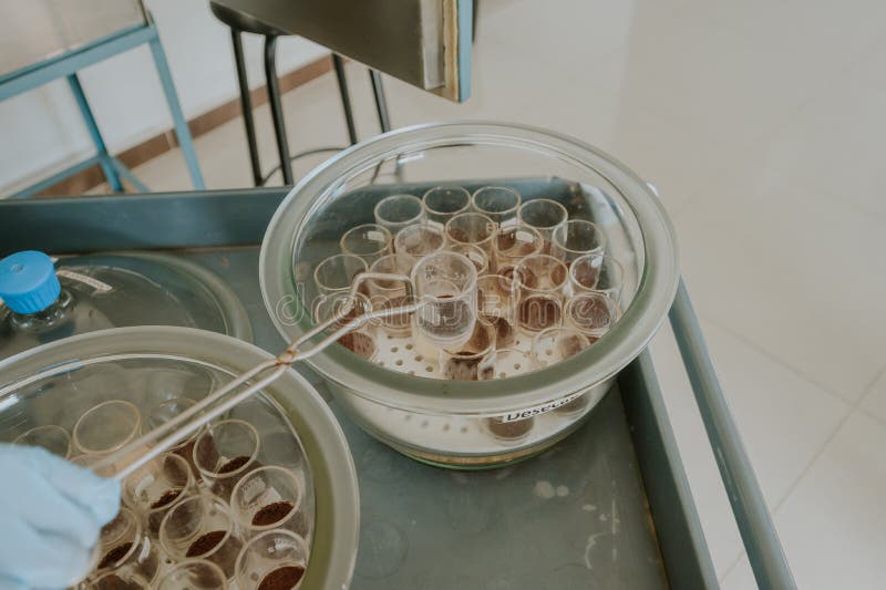 Scientist Preparing Soil Extract at Table. Laboratory Analysis Stock ...
