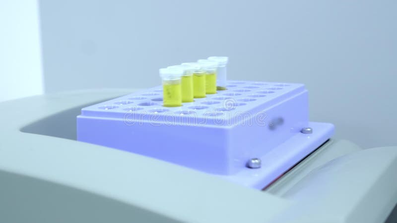 Scientist Puts Sample with Liquid into the Mixing Box Stock Footage ...