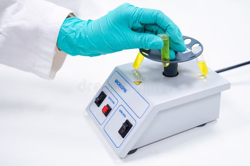 Scientific Puts Microplate into Microplate Spectrophotometer To Analyze ...