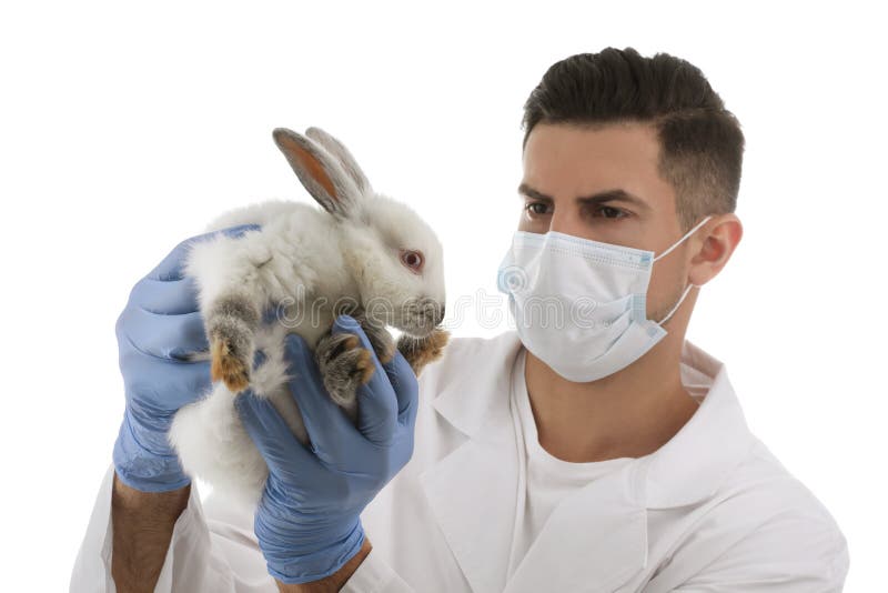 Scientist with Rabbit on White Background. Animal Testing Stock Photo ...