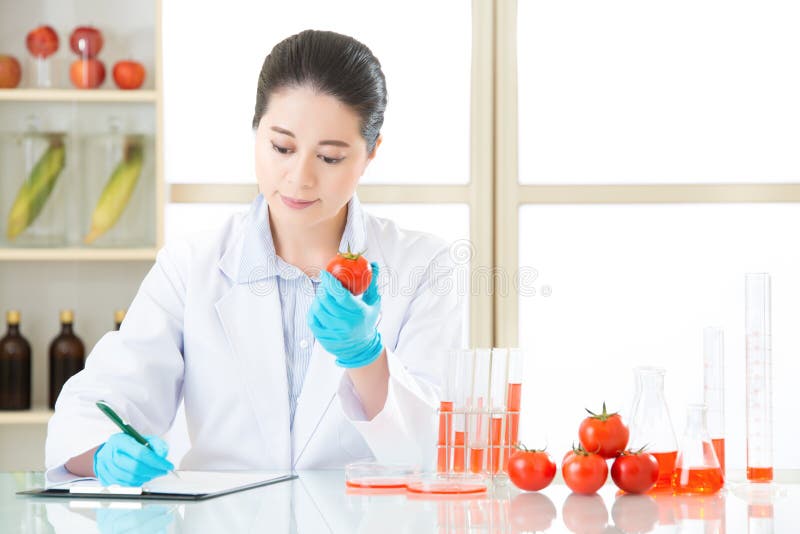 Scientist Recording Genetic Modification Data from Examining Stock ...