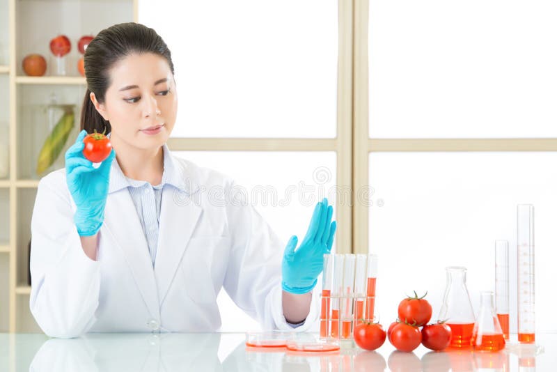 Scientist Research and Develop Healthy Genetic Modification Food Stock ...