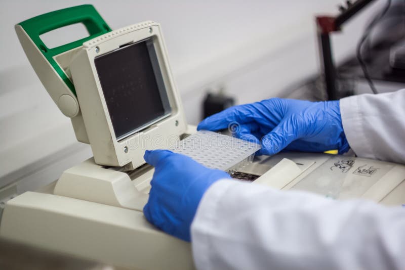 Scientist or Researcher or Phd Student Put Dna Samples into Pcr Stock ...