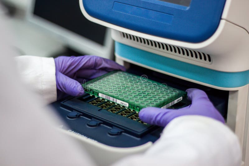 Scientist or Researcher or PHD Student Take DNA Samples from Fla Stock ...