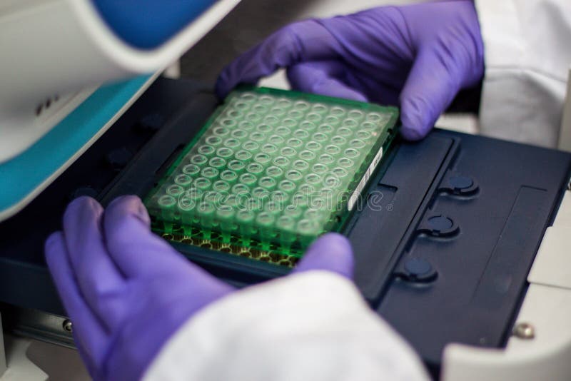 Researcher with Samples stock image. Image of hand, test - 12034845