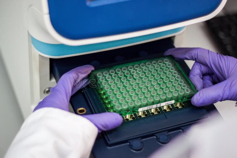 Scientist or Researcher or PHD Student Take DNA Samples from Fla Stock ...