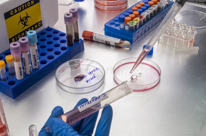 Laboratory study stock image. Image of health, equipment - 16288421