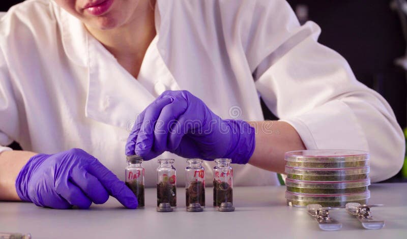 The Scientist`s Hands Pouring Solvent into the Bottles Stock Image ...