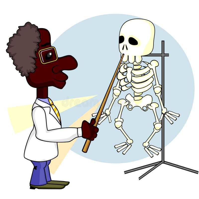 Owl Teacher. Anatomy Lesson, the Study of the Human Skeleton Stock ...