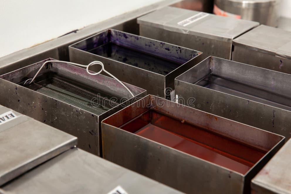 Scientist Staining Microscope Slides for Cytology Studies in the ...