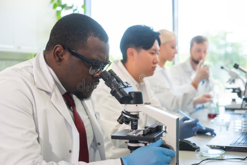 Scientist and Students Working in Lab. Doctor Teaching Interns To Make ...