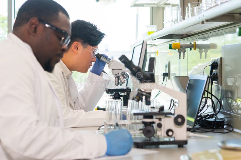 Scientist and Students Working in Lab. Doctor Teaching Interns To Make ...