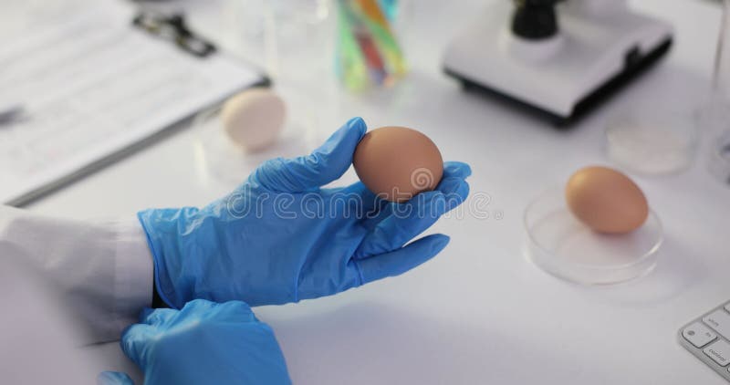 Scientist Studying Kidney Model and Urine Sample in Laboratory Stock ...
