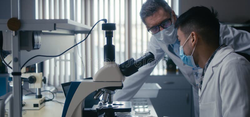 Scientist Studying Sample in Microscope Stock Photo - Image of ...