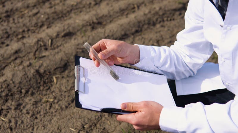 Scientist Studying Sample of Soil in Field, Close Up Stock Footage ...