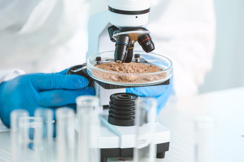 Scientist Studying Samples of Soil in Laboratory Stock Image - Image of ...